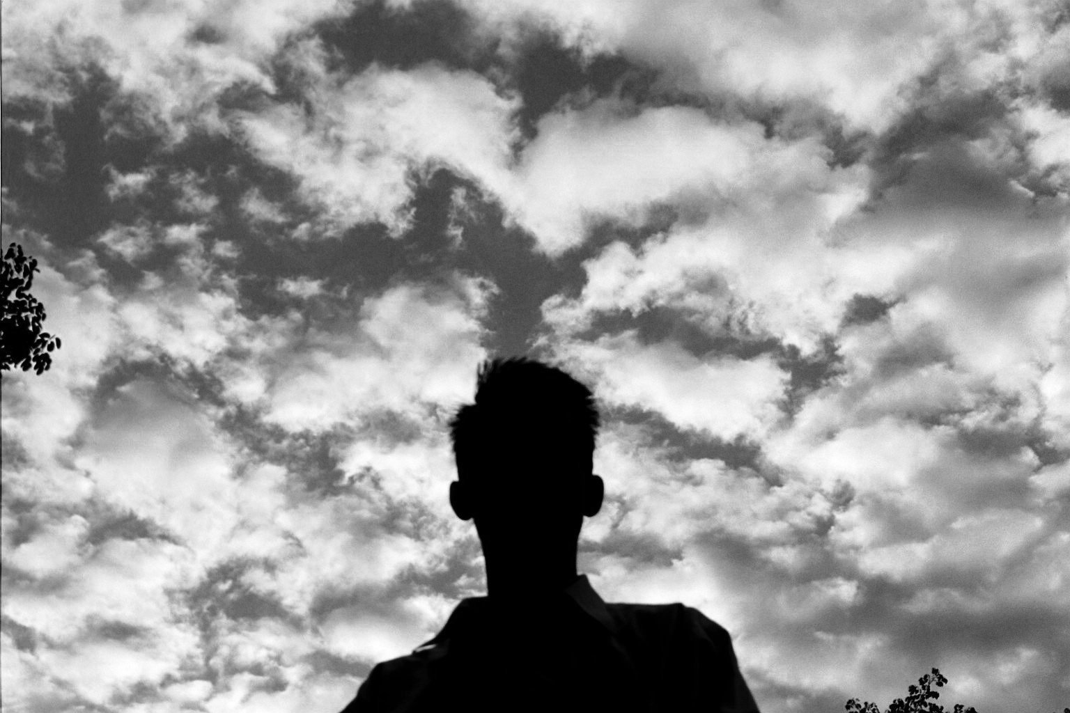 Amazon.com: Michael Warren: books, biography, latest update