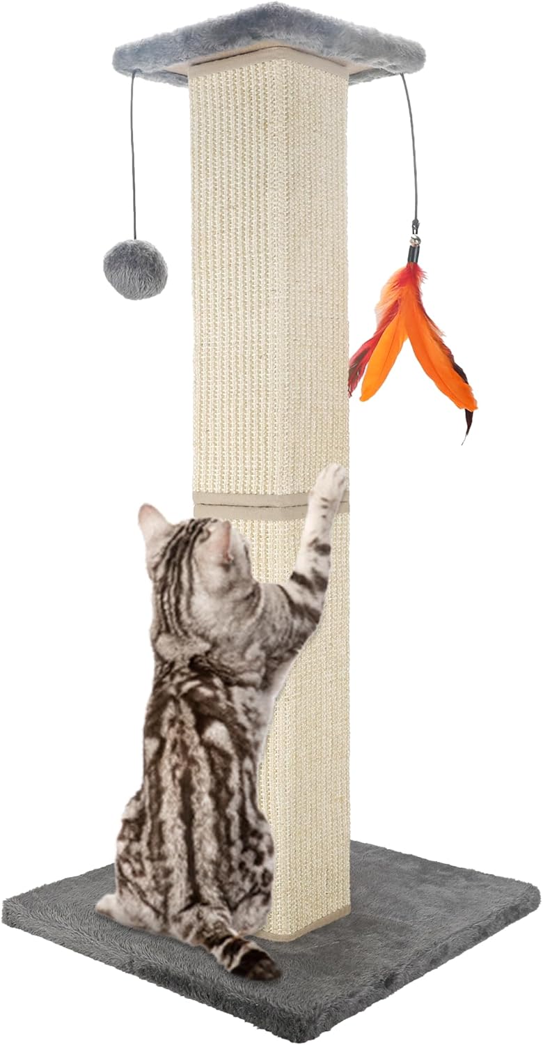 Amazon.com : Ahomdoo 33.5 Inch Cat Scratching Post Heavy Duty and ...