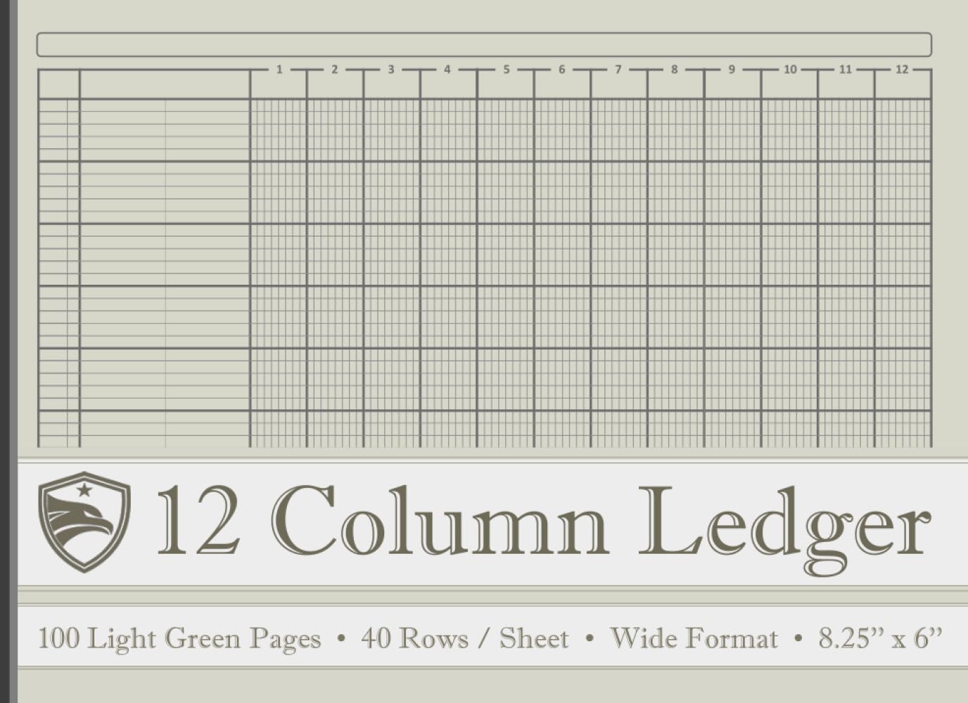 Amazon.com: 12 Column Ledger Book : Green Columnar Pad for Bookkeeping ...