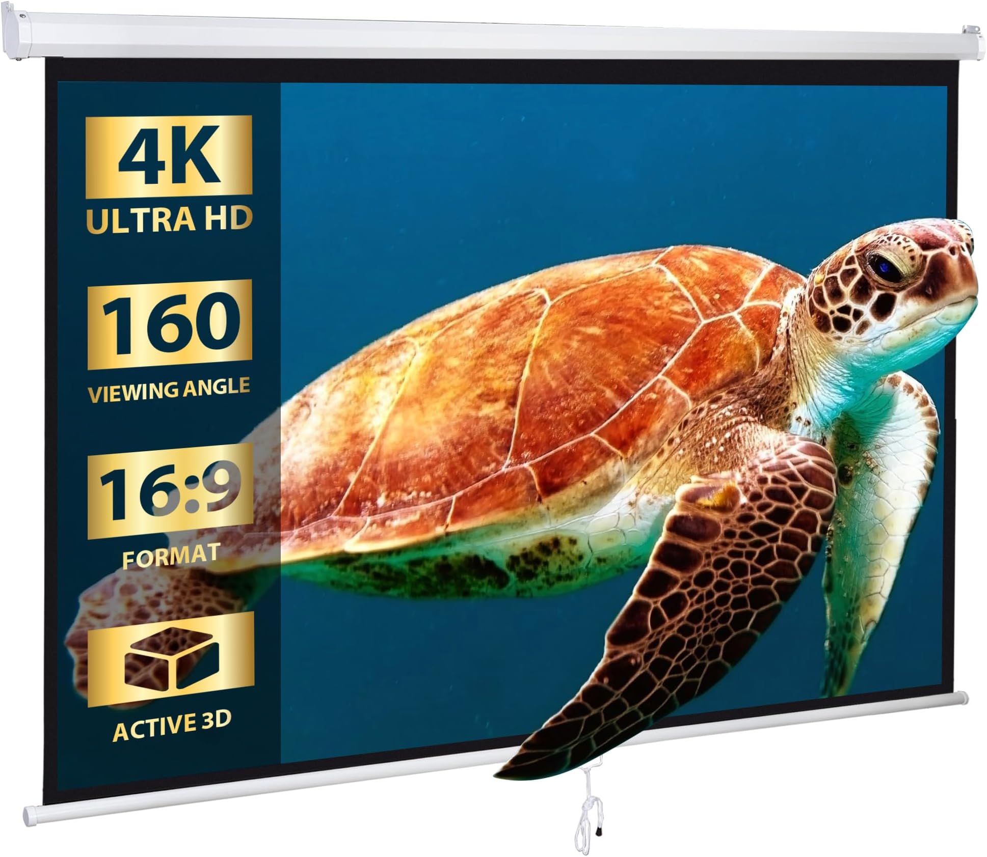 Amazon.com: Elite Screens Manual Series, 80-INCH Pull Down Manual ...