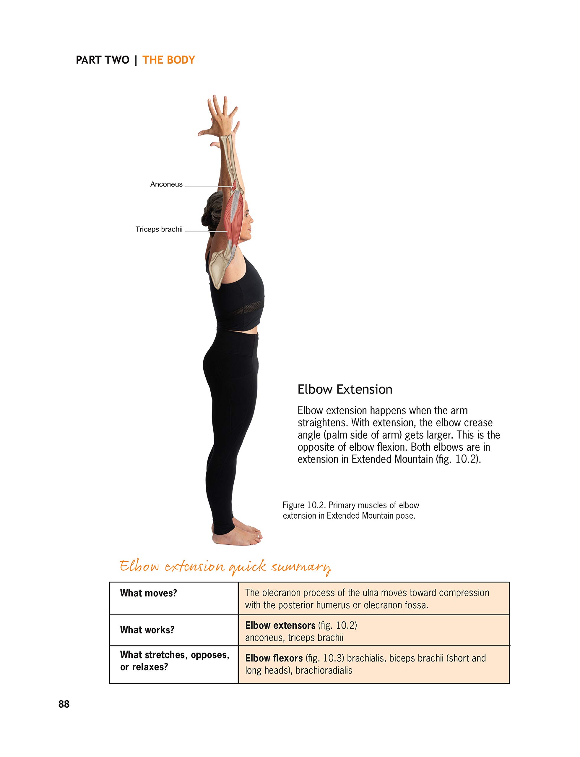 Snapklik.com : Embodied Posture: Your Unique Body And Yoga