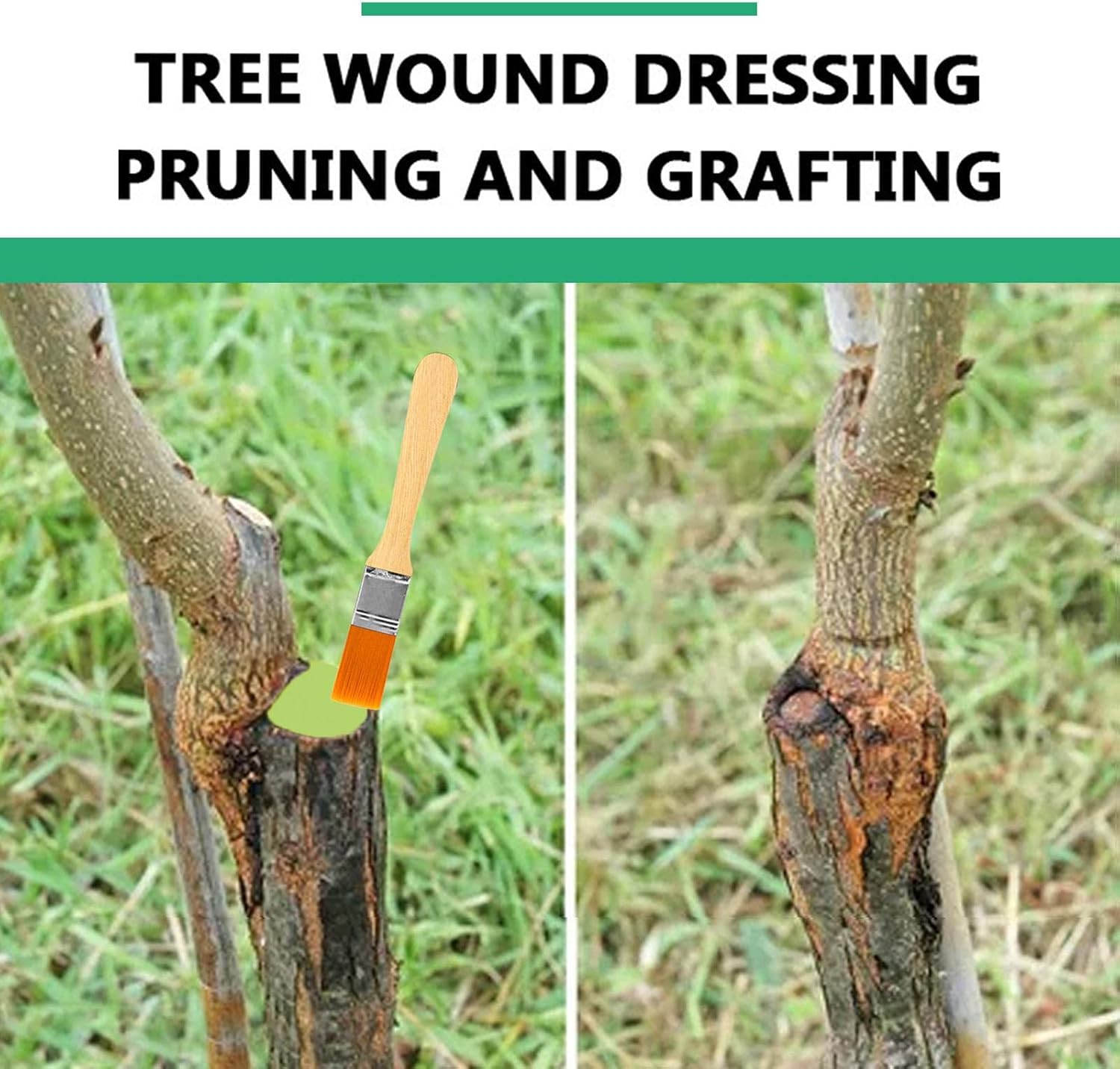 Tree Wound Pruning Sealer Tree Wound Dressing Tree Wound Paste Tree ...