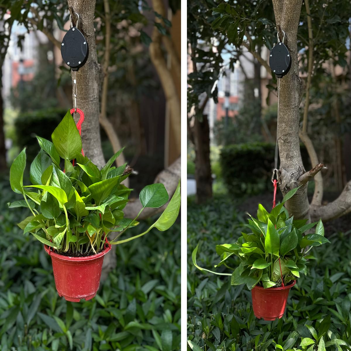 Snapklik.com : Lythor 3 Pack Plant Hook Pulley, Retractable Plant ...