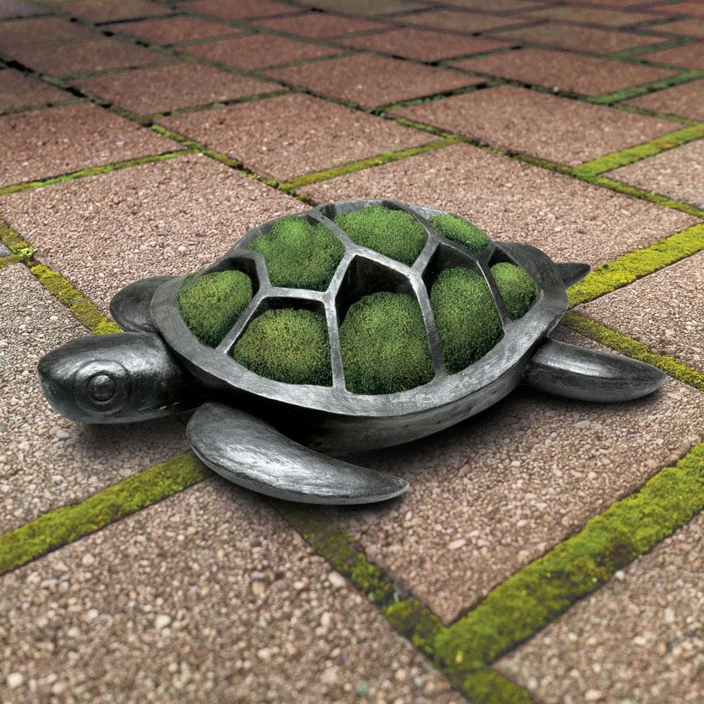 Turtle Succulent Planter Cute Little Turtle Topiary’s 🐢🪴