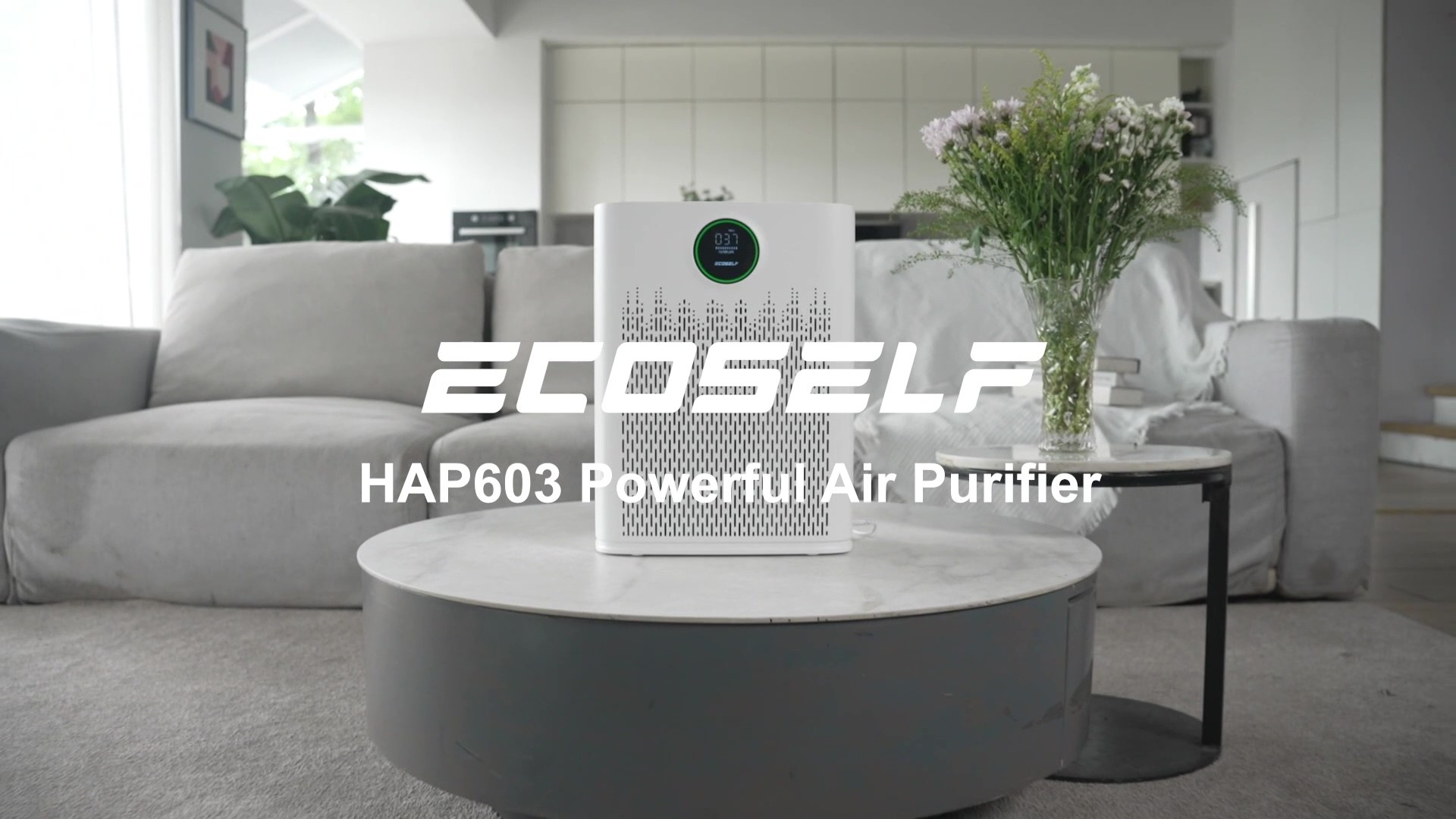 Watch ECOSELF Air Purifier for Large Room-HAP603 on Amazon Live