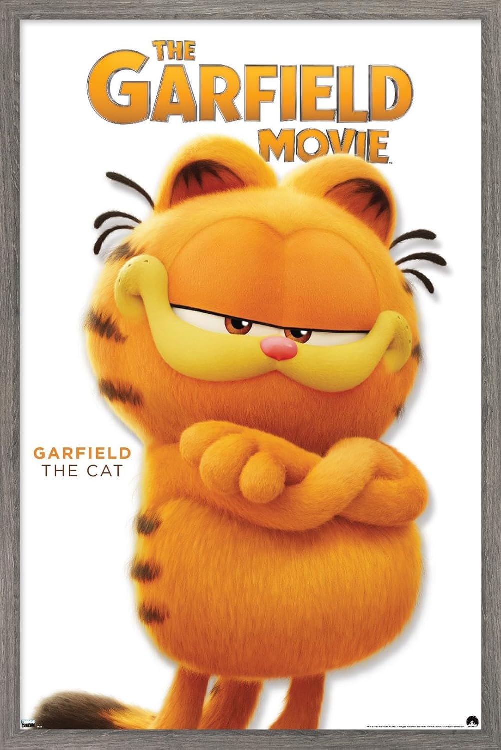 Amazon.com: Trends International The Garfield Movie - Garfield Feature ...