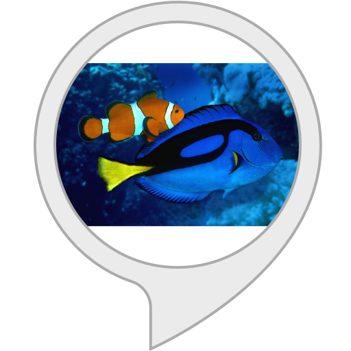 Amazon.com: Unofficial Finding Nemo & Dory Trivia : Alexa Skills