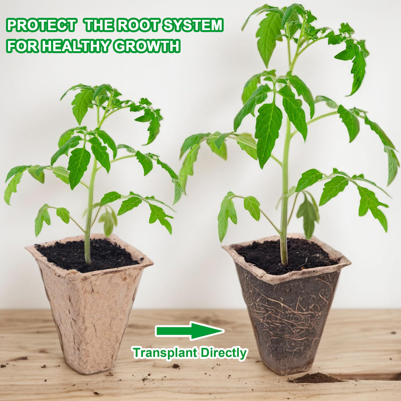 Snapklik.com : 240 Cells Peat Pots Seed Starter Trays,20 Pack ...