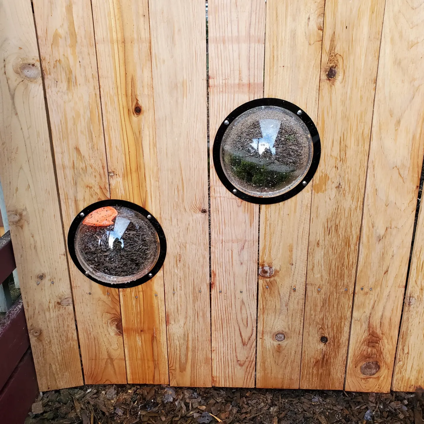 Amazon.com : MiMu Dog Fence Window - 11.25IN Acrylic Dome Clear Dome ...