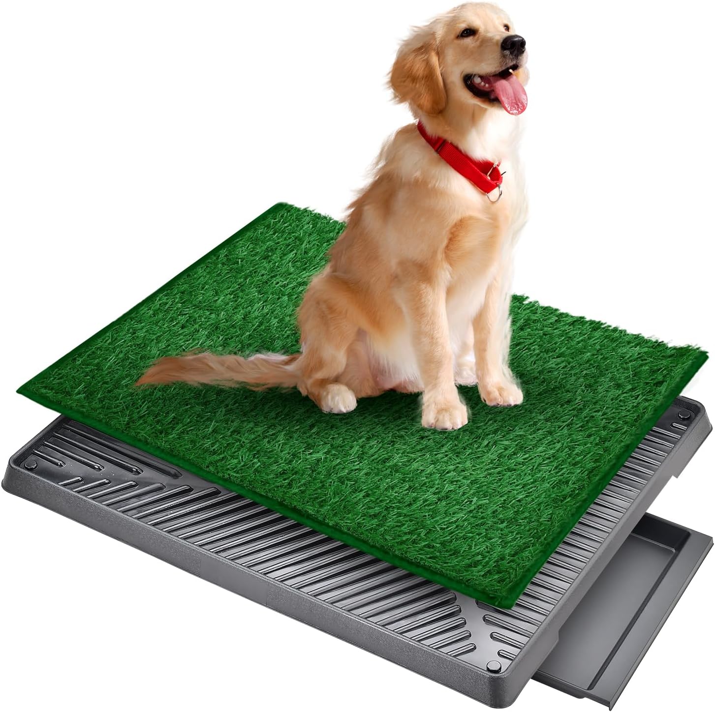 Amazon.com: Dog Grass Pad with Tray, Dog Toilet Indoor Cat Training Pad ...
