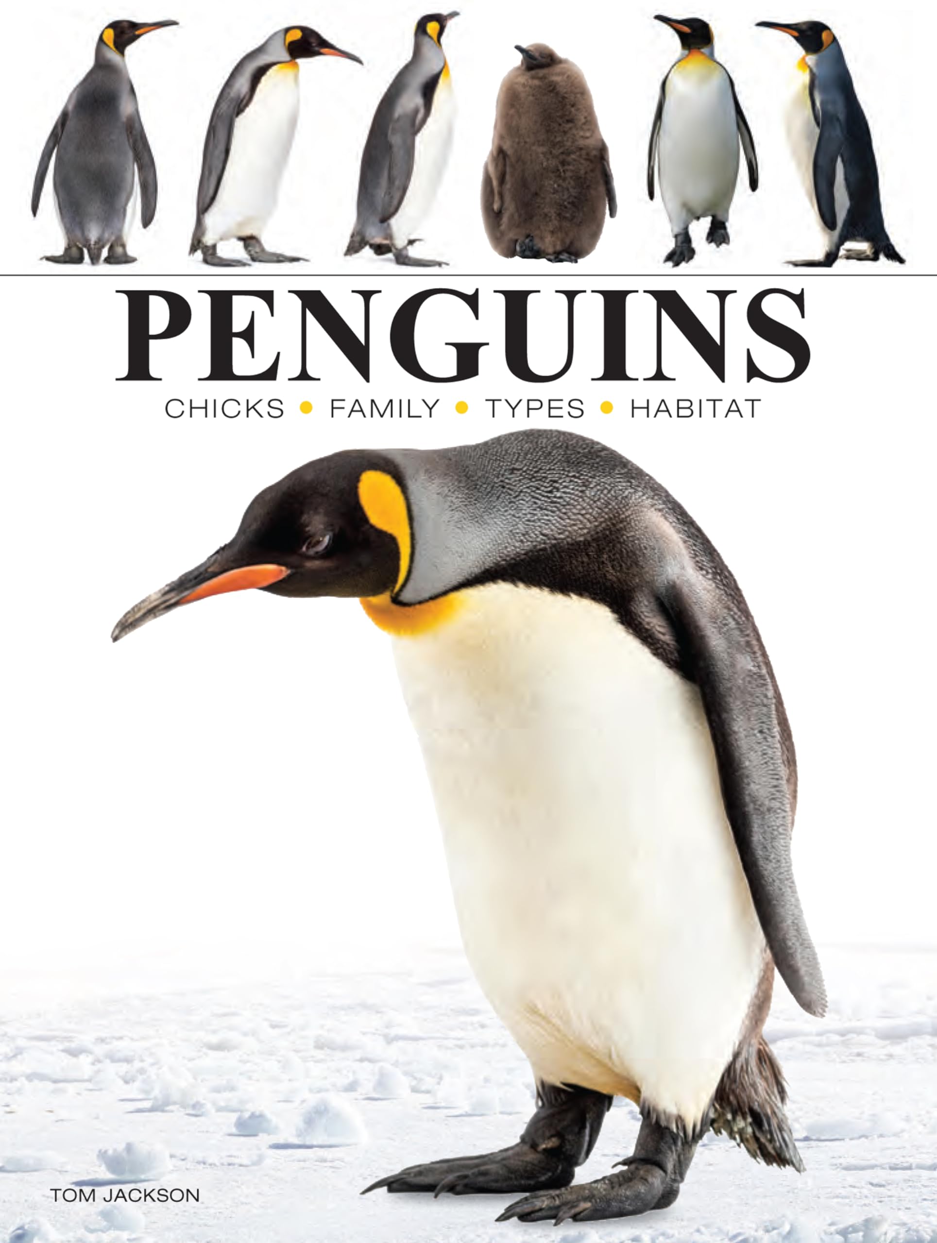 Penguins (Mini Encyclopedia): Jackson, Tom: 9781838863609: Amazon.com ...