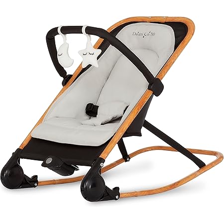 Amazon.com: Ingenuity 2-in-1 Lightweight Infant to Toddler Rocker and ...