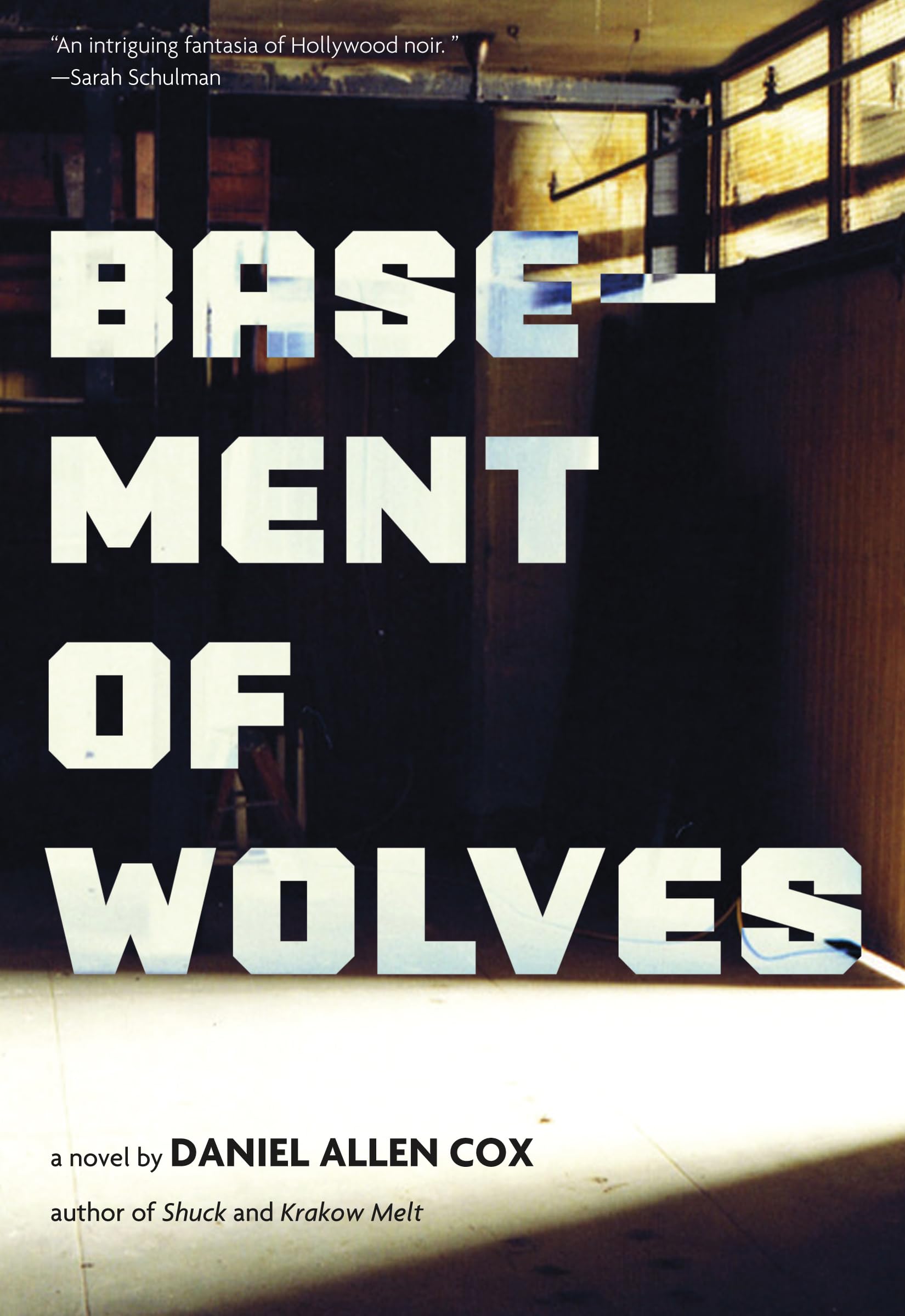 Amazon.com: Basement of Wolves: 9781551524467: Cox, Daniel Allen: Books