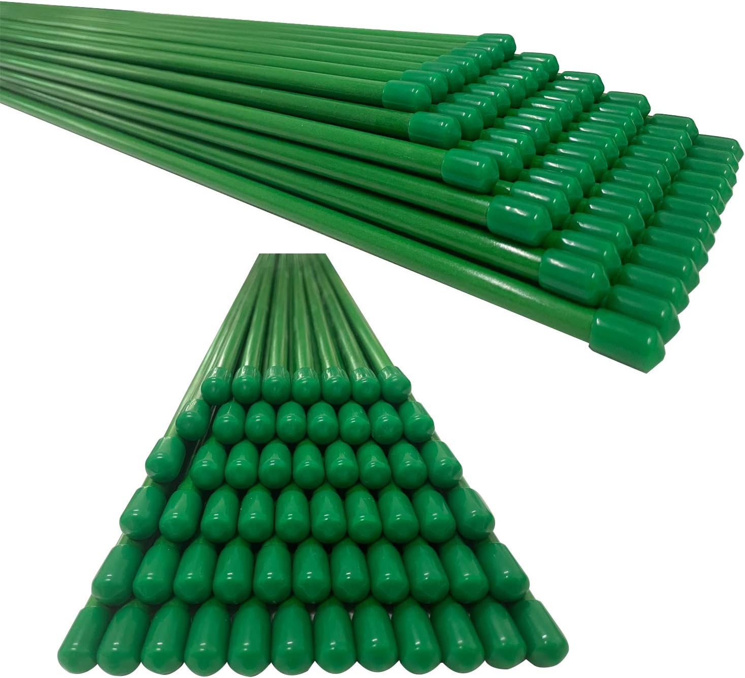 Amazon.com : LYUKL Garden Stakes 5FT,Plant Stakes,Tomato Stakes ...