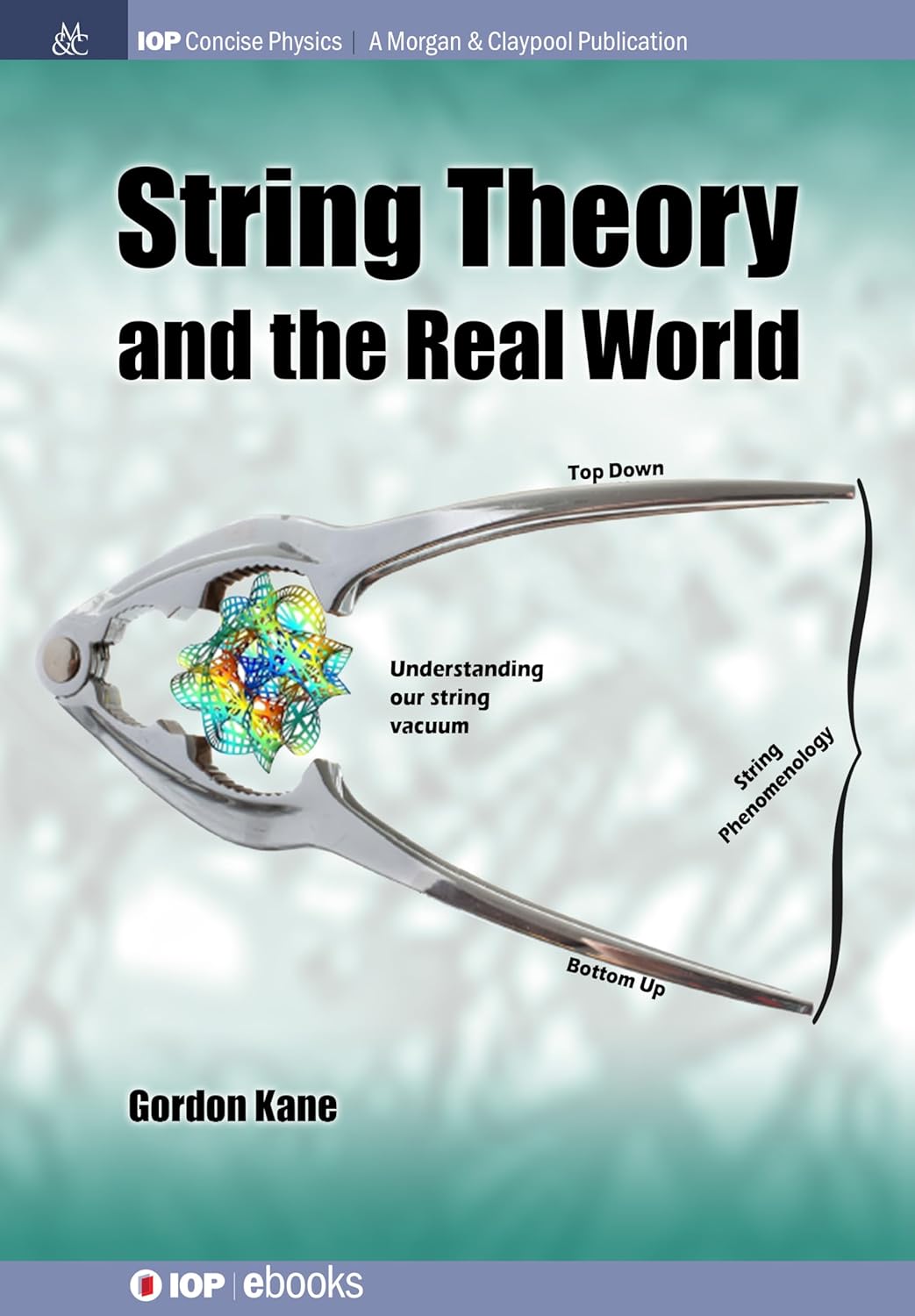 String Theory and the Real World (Iop Concise Physics): Kane, Gordon ...