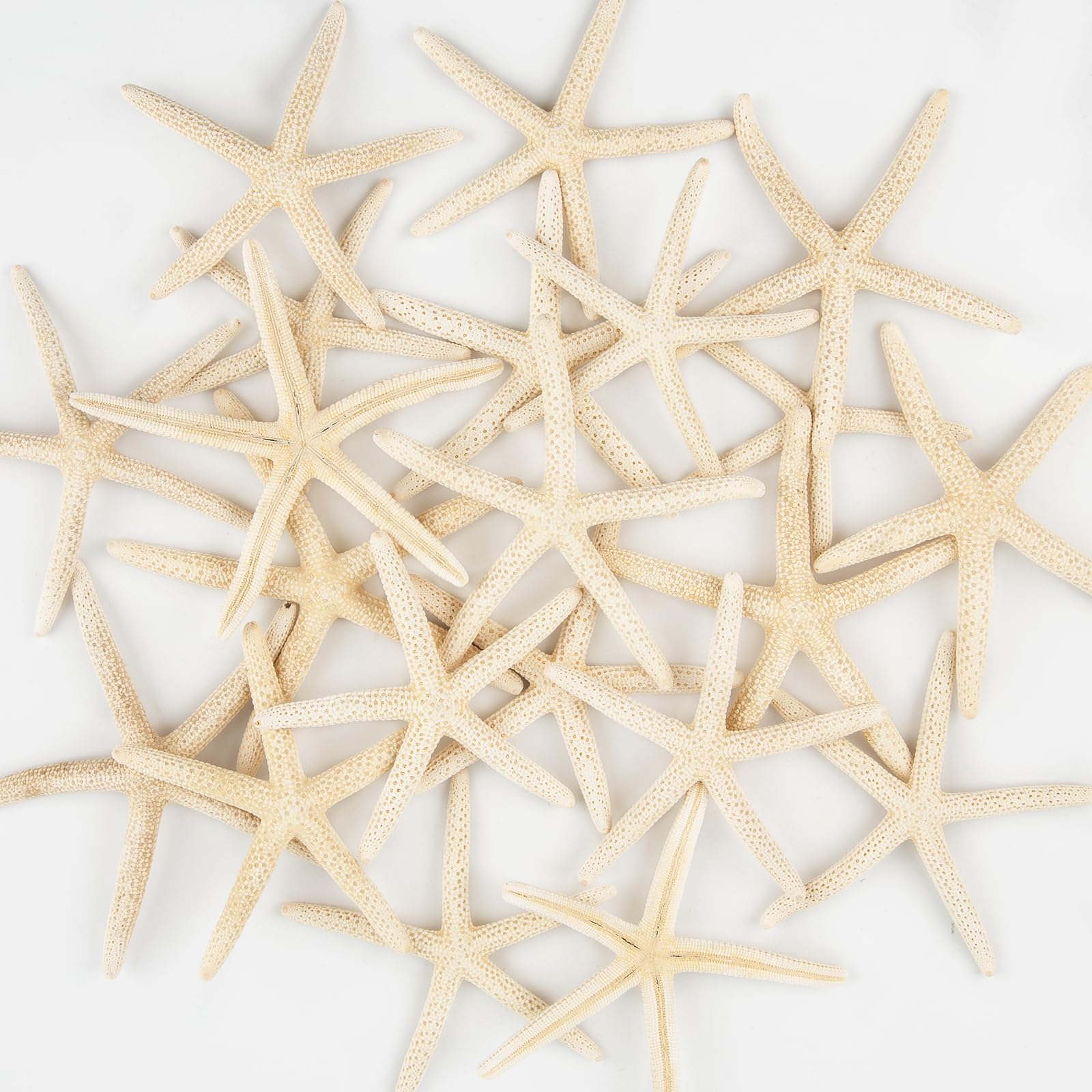 Amazon.com: Jetec 24 Pcs Starfish Assorted Decor 3.14 Inch Starfish for ...