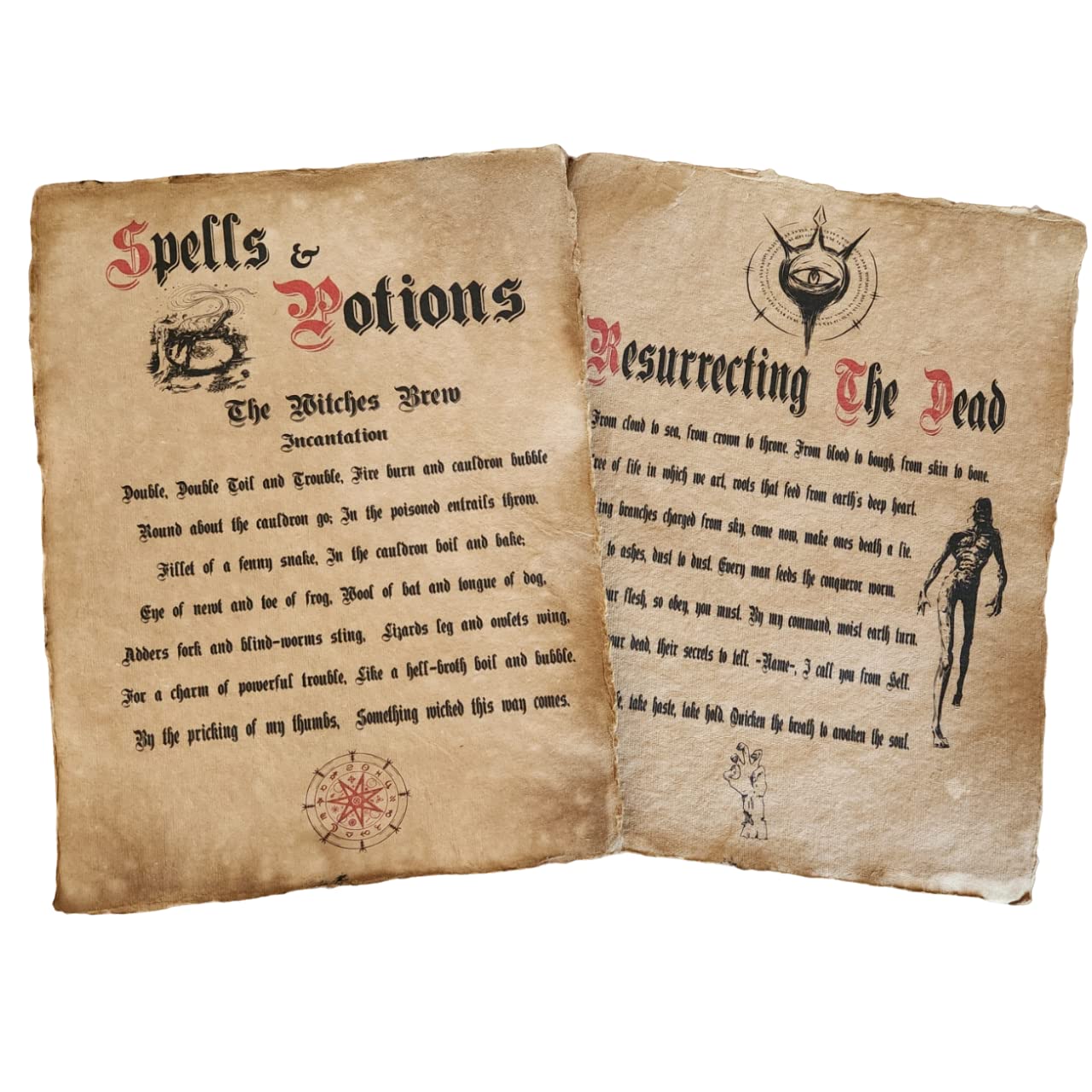 Amazon.com: Witches Spell Book aged printed book pages, Halloween Prop ...