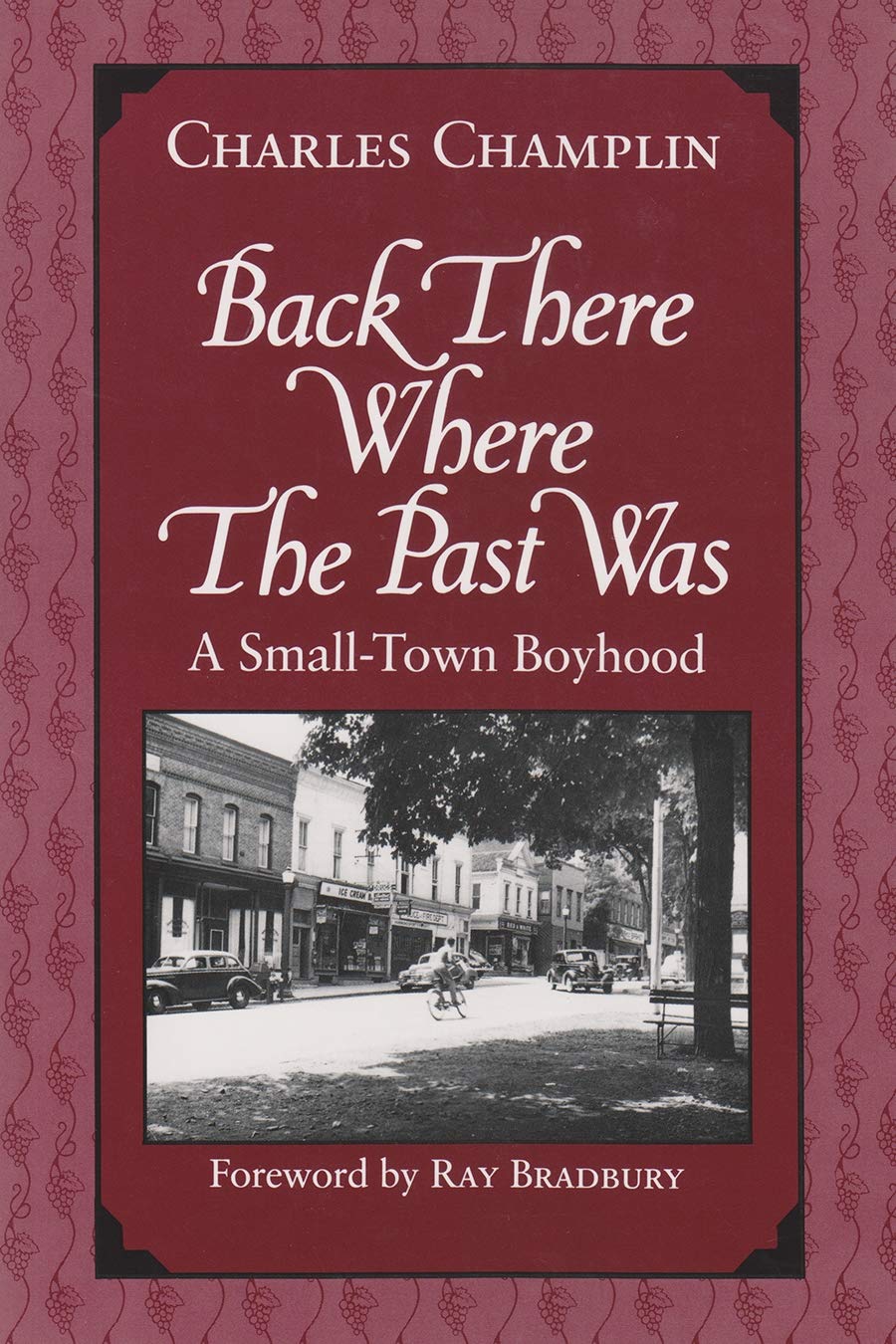 Back There Where the Past Was: A Small-Town Boyhood (New York State ...