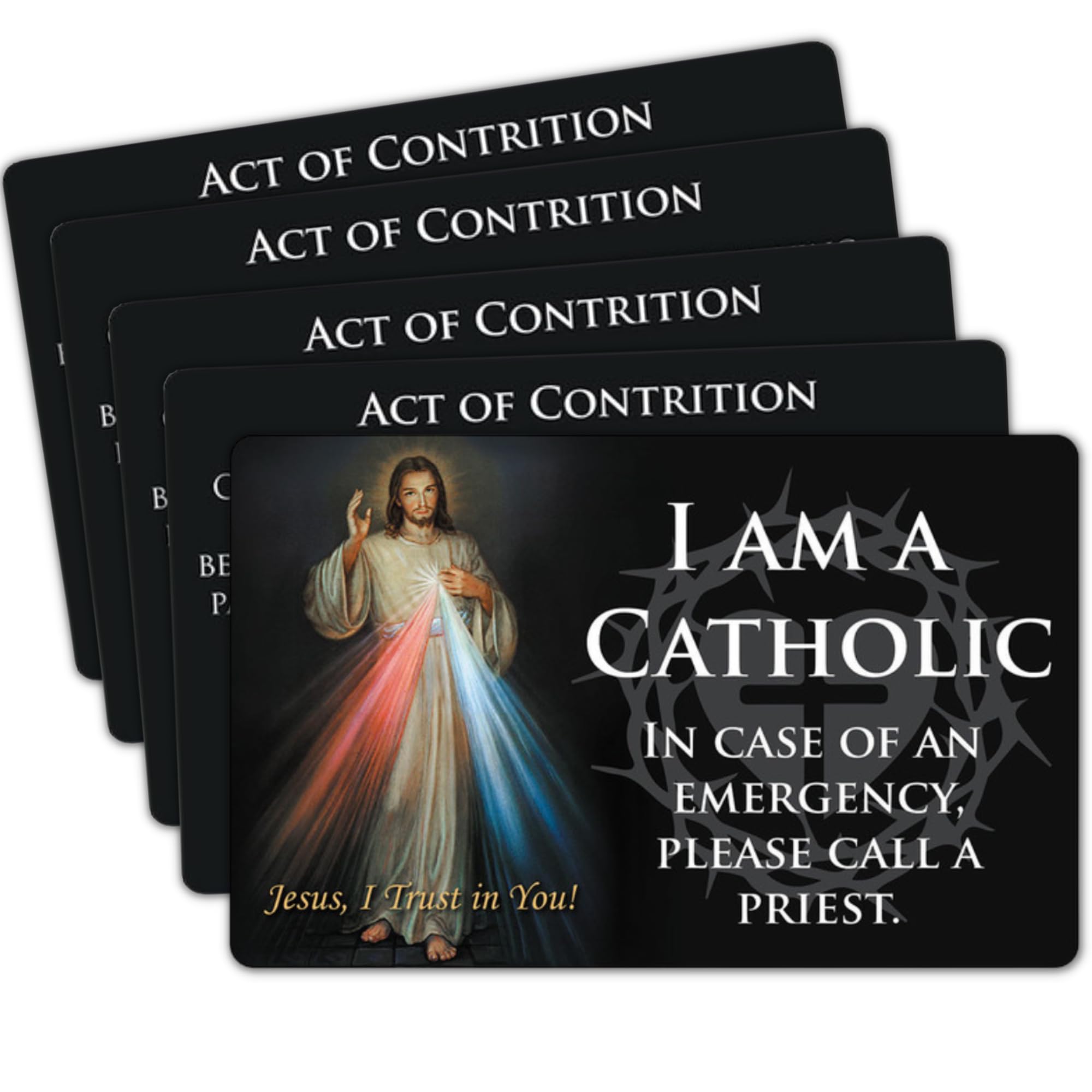 Amazon.com: Needzo Divine Mercy Catholic ID, Wallet and Pocket Prayer ...