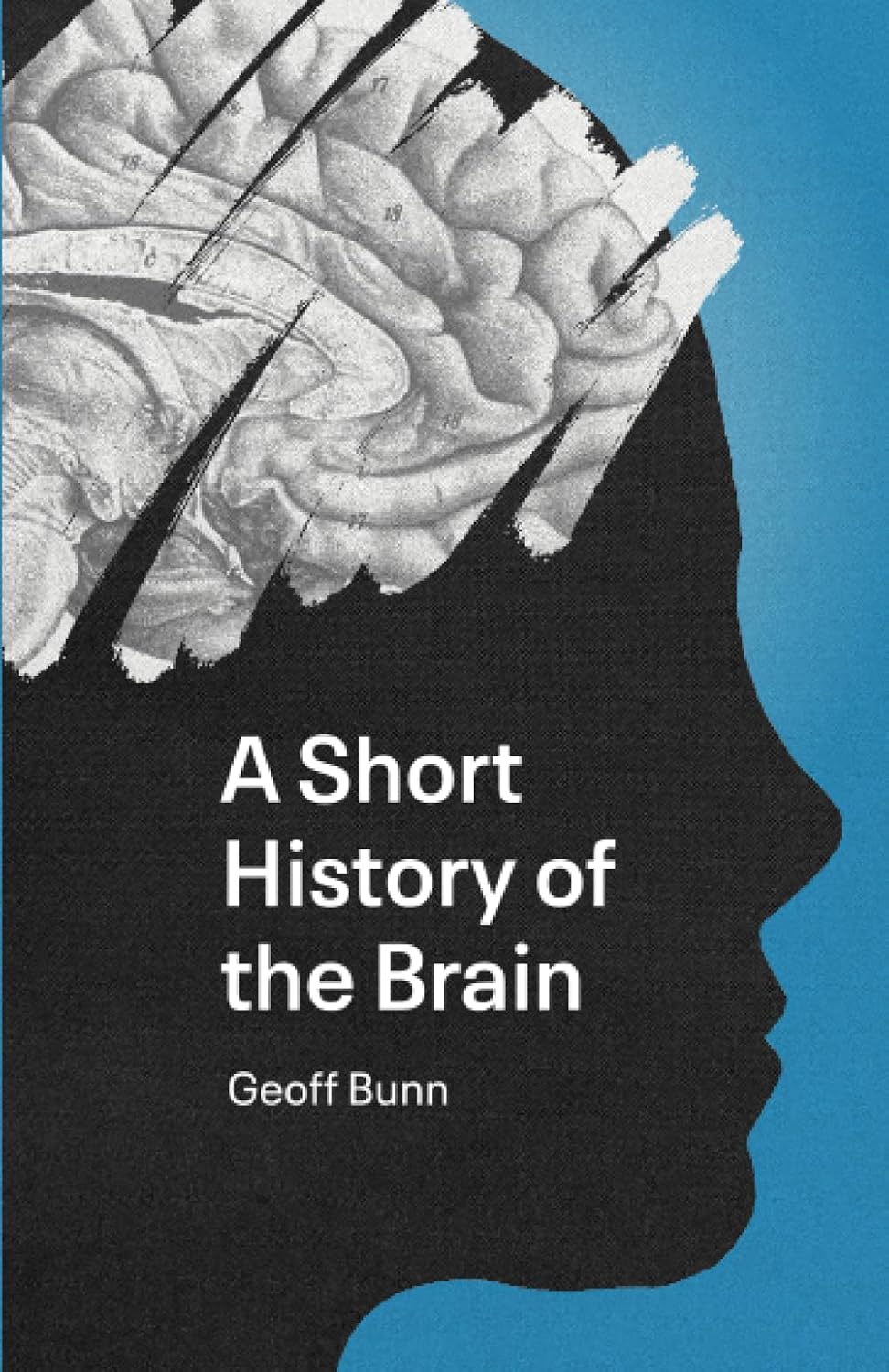 Buy A Short History of the Brain Book Online at Low Prices in India | A ...