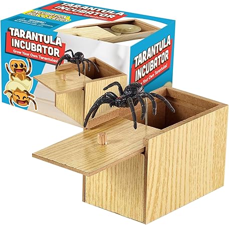 Amazon.com: Gagster Spider Box Prank Fake Tarantula Incubator ...