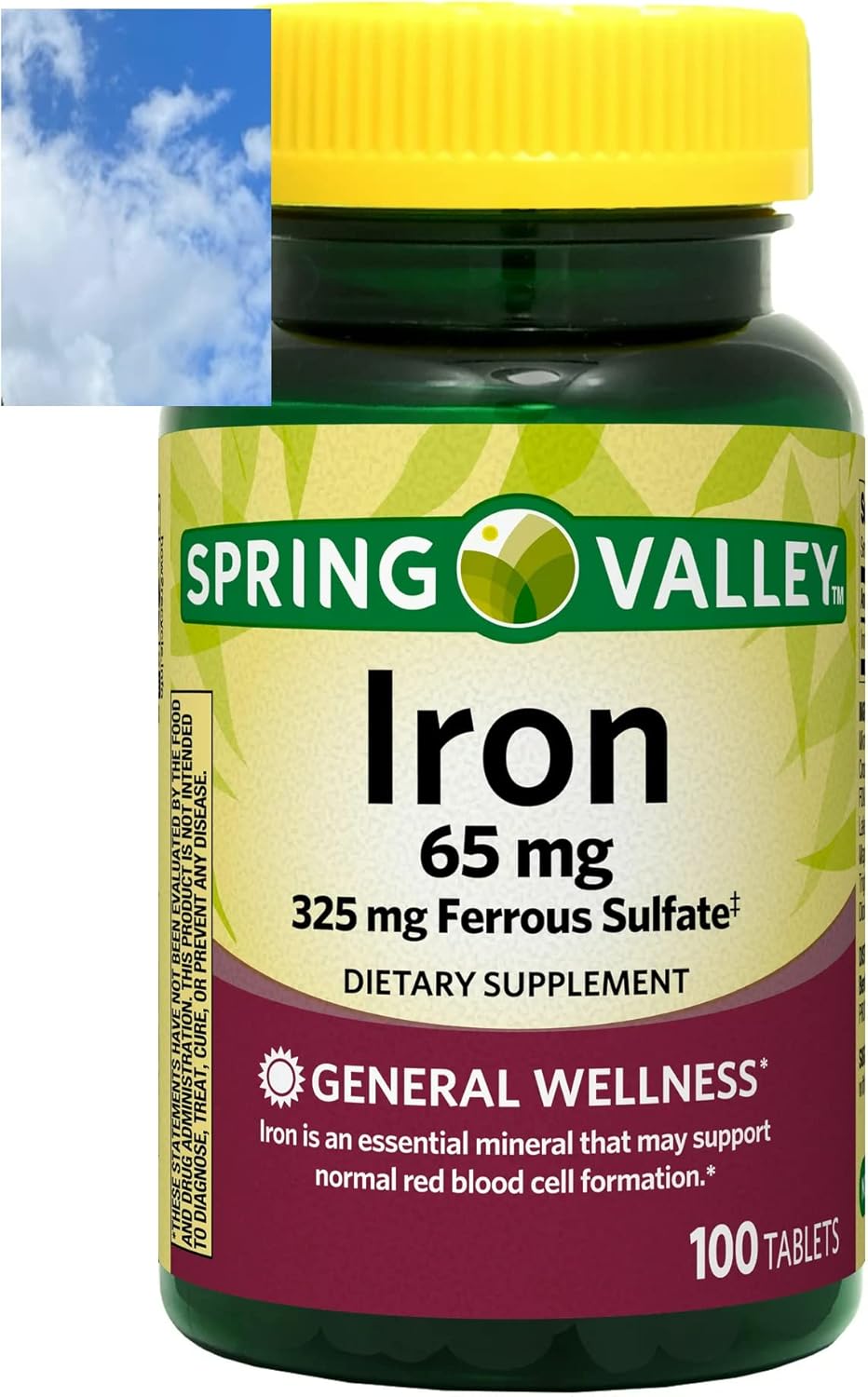 Amazon.com: Spring Valley Iron Tablets Dietary Supplement, 65 mg, 100 ...