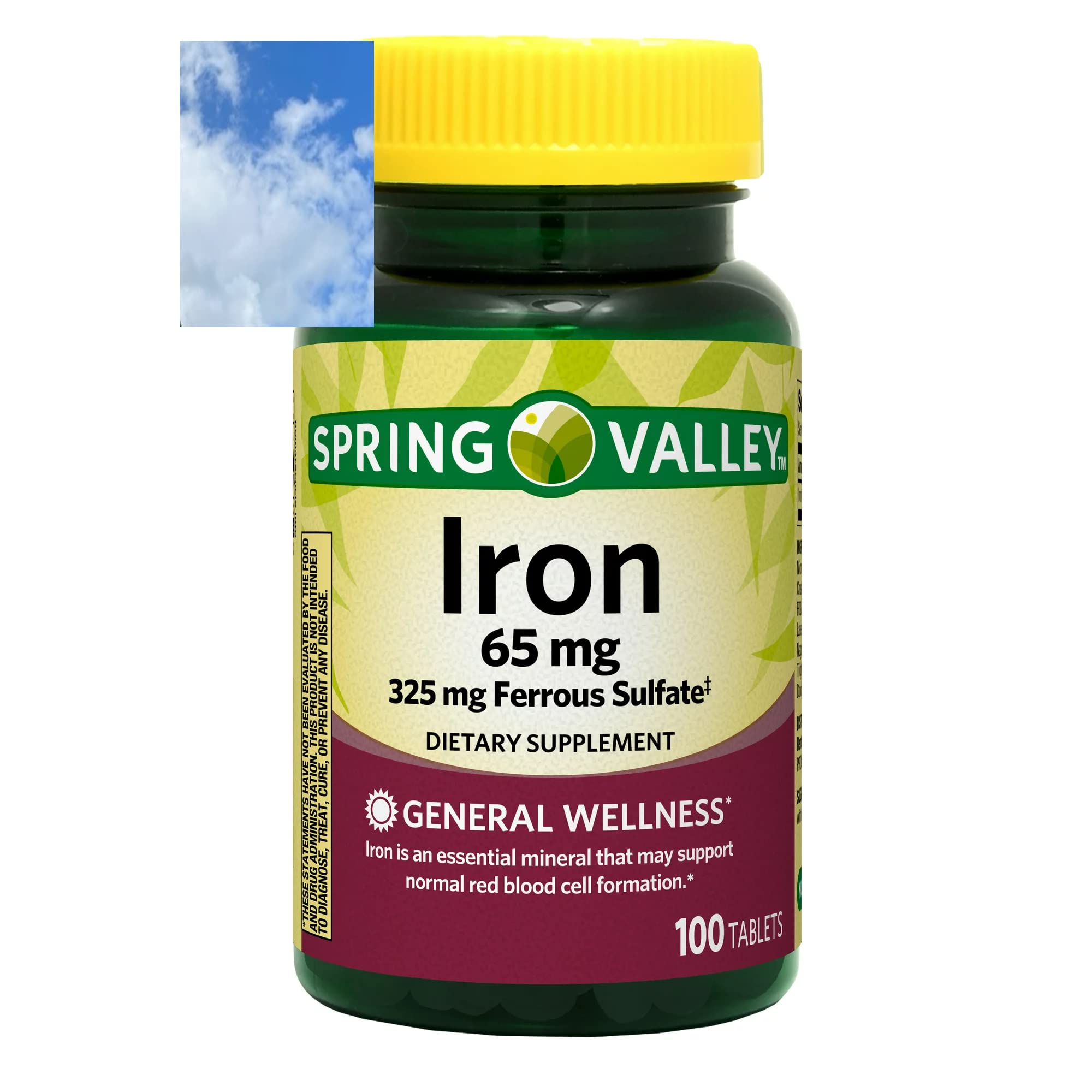 Amazon.com: Spring Valley Iron Tablets Dietary Supplement, 65 mg, 100 ...