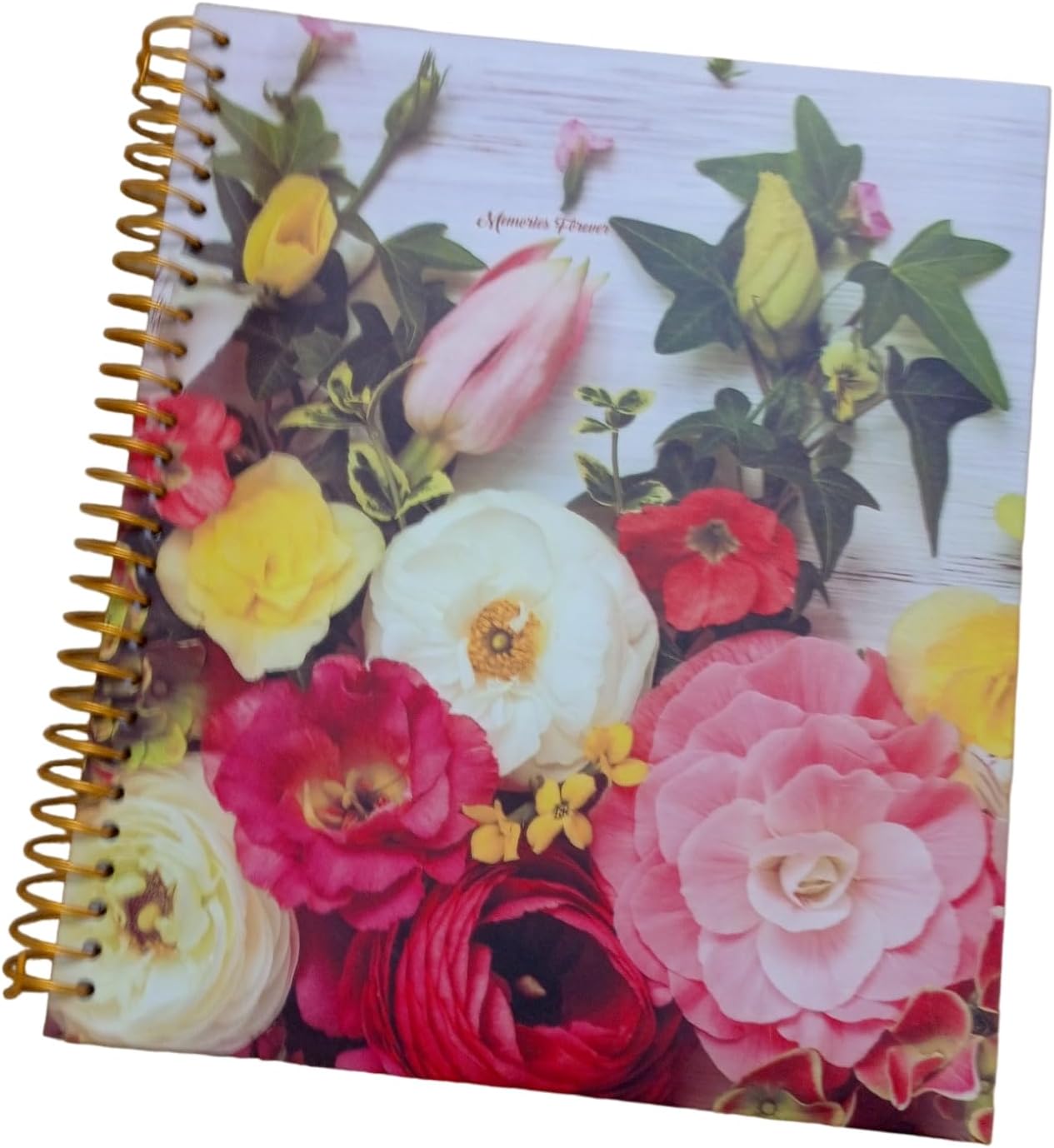 Natraj Big Size Autostick 30 Sheet (Size 11x13 Inch) Album : Amazon.in ...