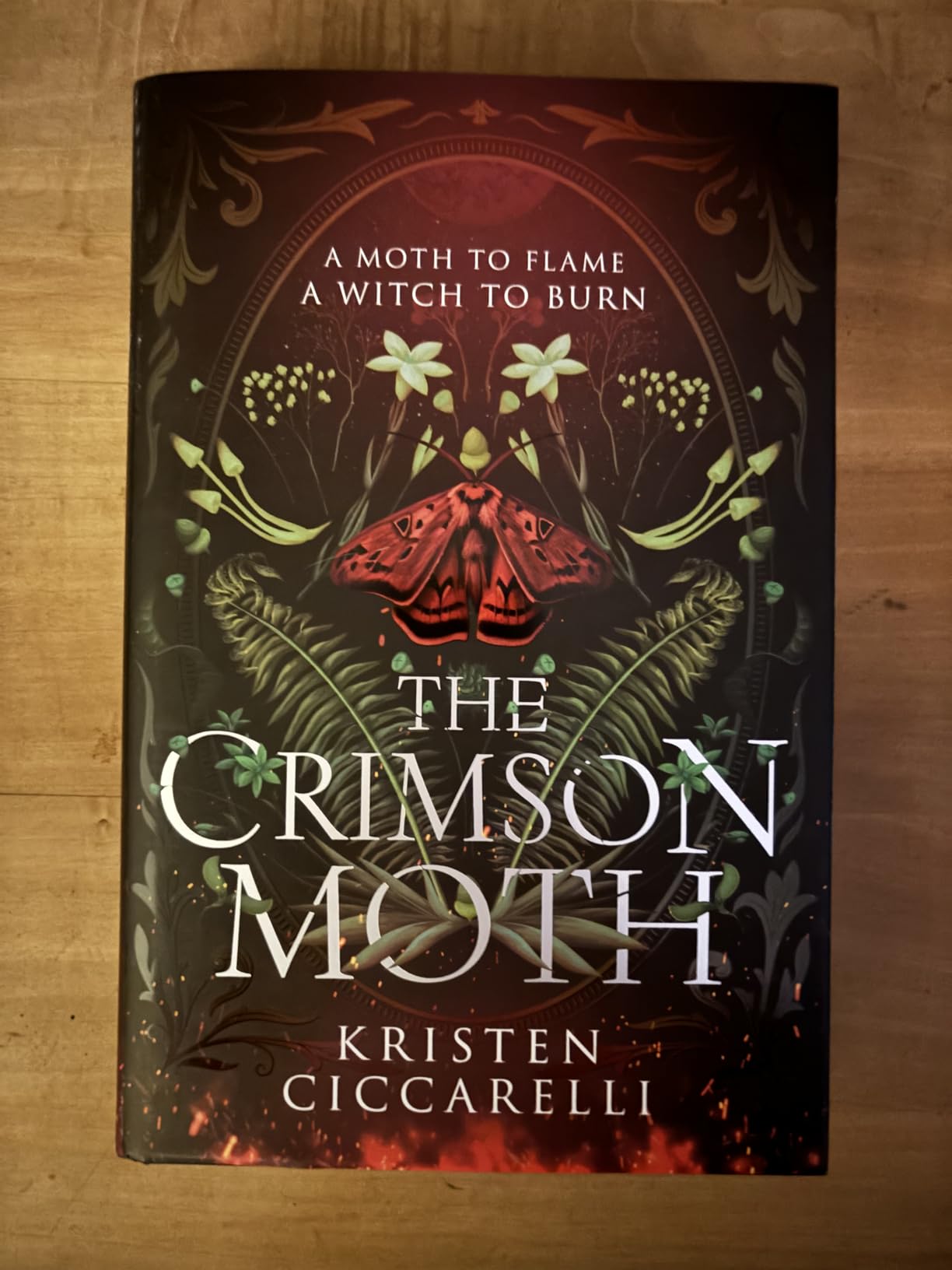 Heartless Hunter: The Crimson Moth: Book 1 (Crimson Moth, 1 ...