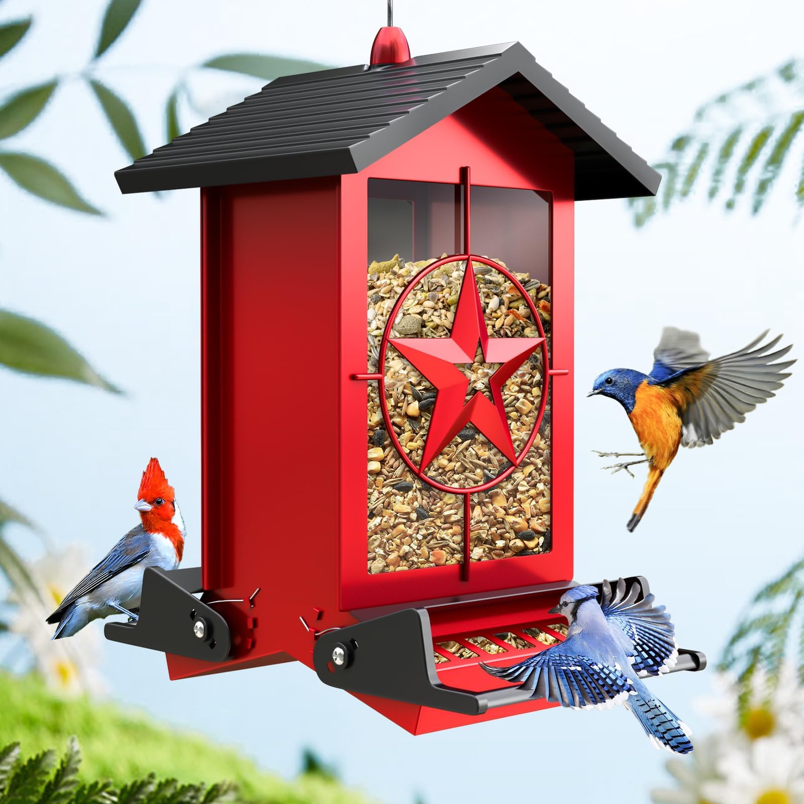 Amazon.com : Woodlink Absolute II Squirrel Resistant Bird Feeder Model ...