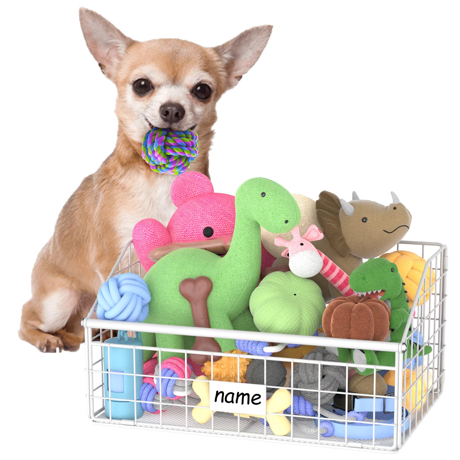 Amazon.com: Kaiferty Indestructible Dog Toy basket, Small Toy Box for ...