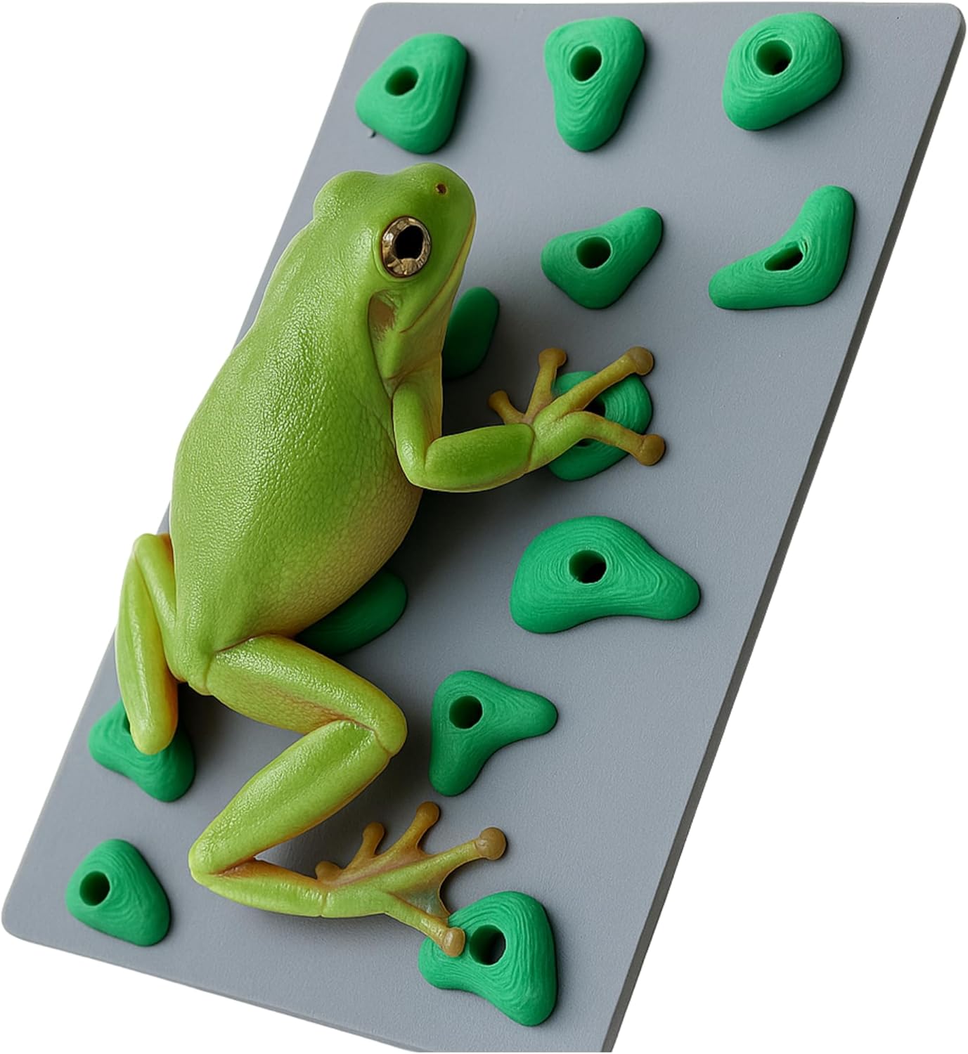 Amazon.com: Mini Rock Climbing Wall for Frogs – Amphibian Enrichment ...