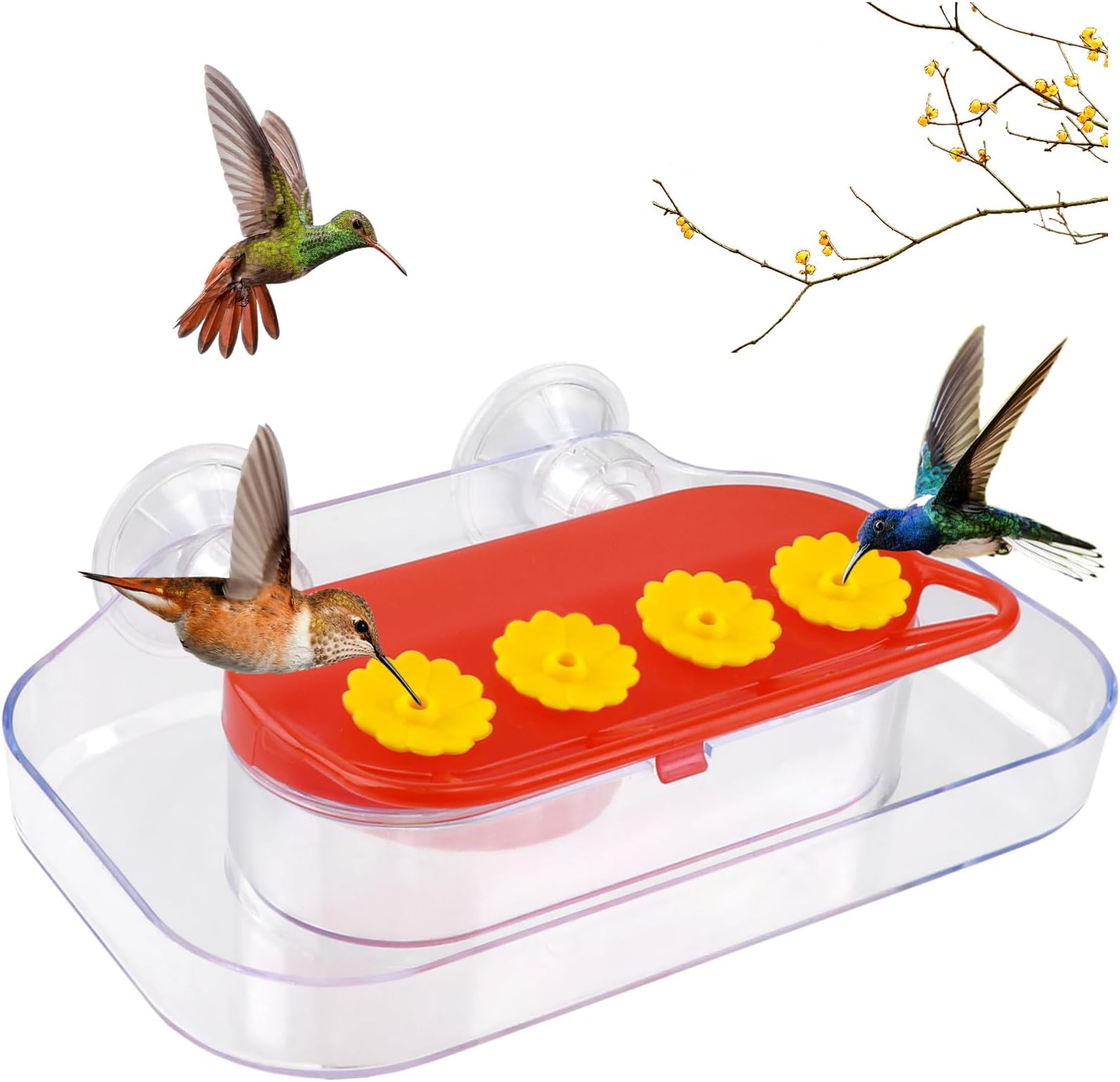 Amazon.com : BirdDock Window Hummingbird Feeder, 4 Feeding Ports ...