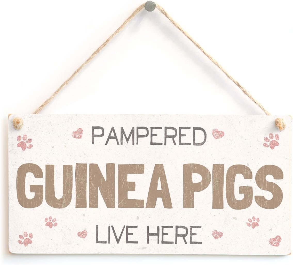 The Plum Penguin Handmade Wooden Hanging Wall Plaque Spoiled Guinea ...