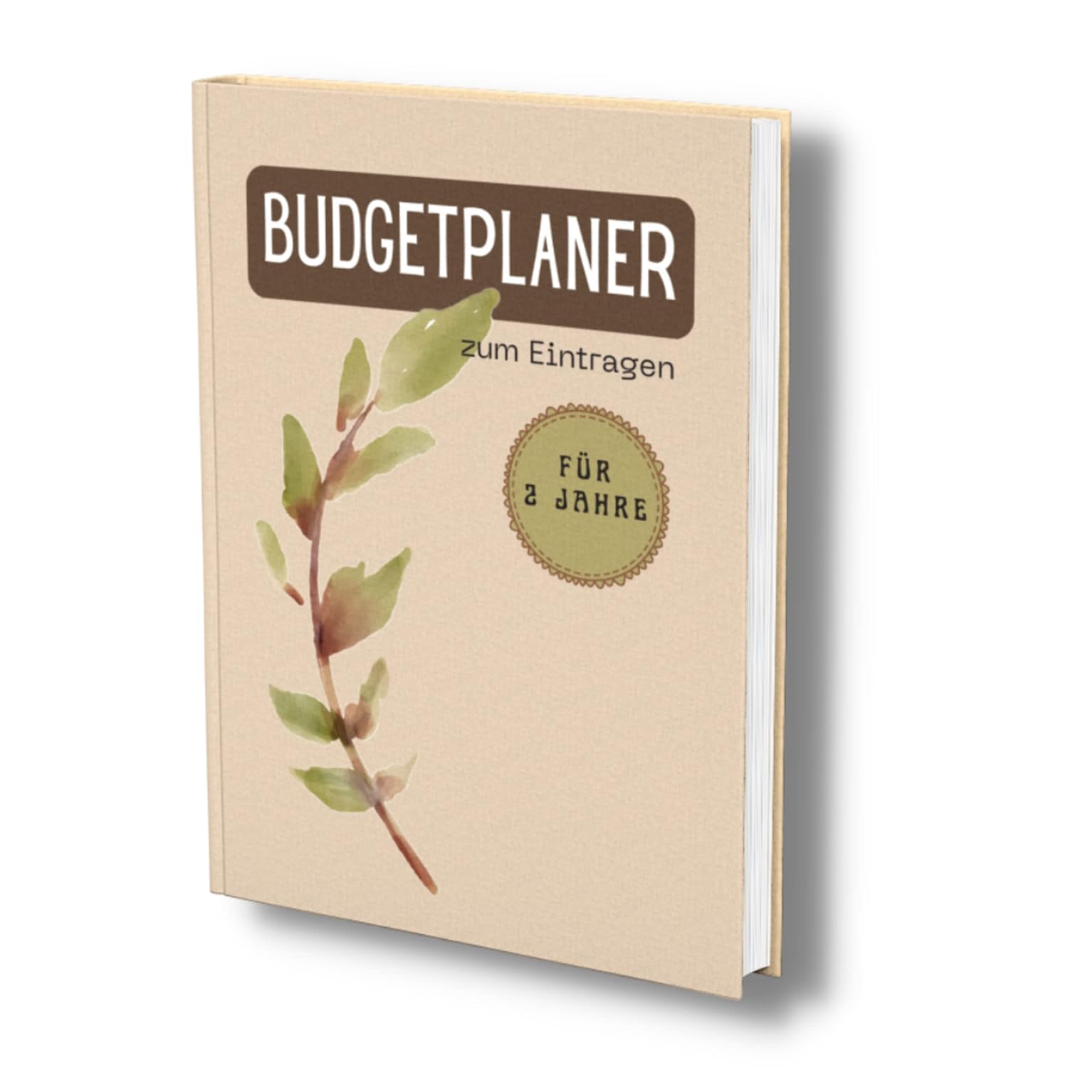 Budgetplaner: Das 2 Jahre Haushaltsbuch zum Eintragen. Perfekt ...