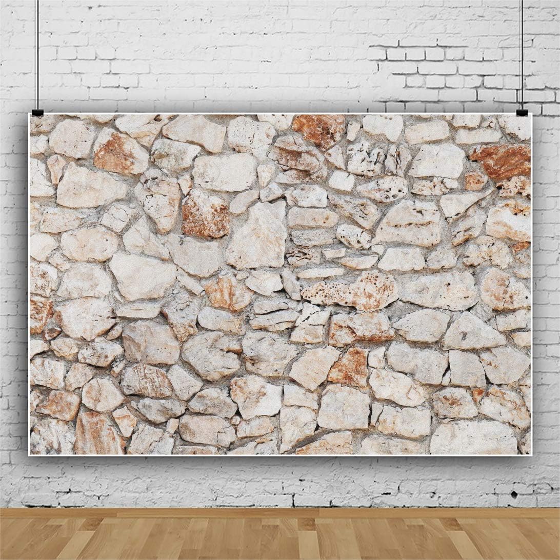 Amazon.com : Yeele 12x8ft Stone Brick Backdrop Vinyl Cloth Retro Brick ...