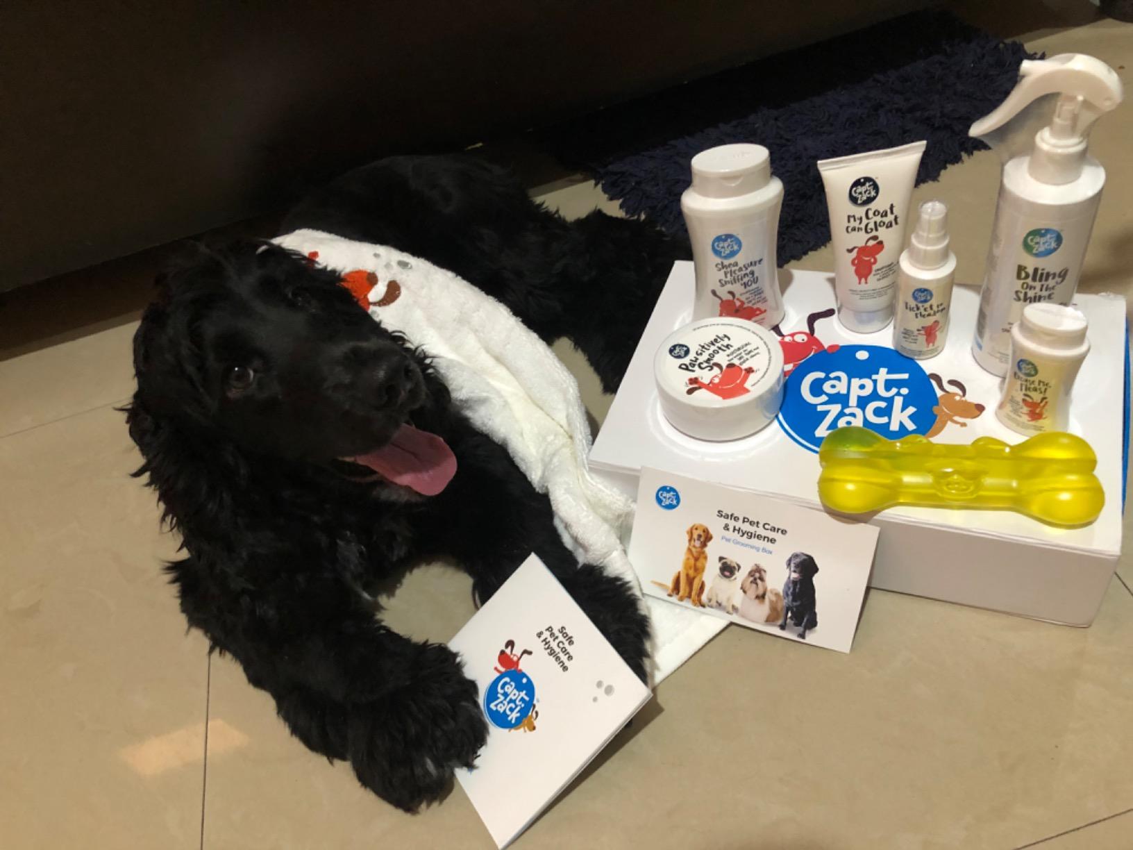 Captain Zack Dog Groom Box For All Breeds | Ultimate 8-in-1, Head-to ...