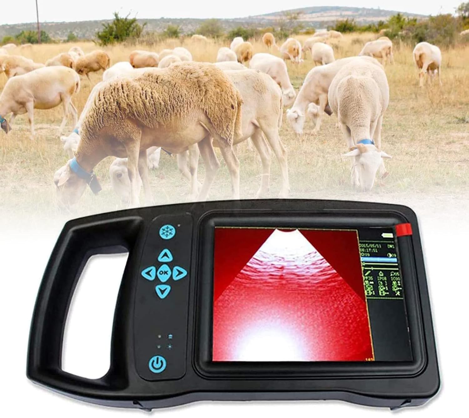 Amazon.com: Veterinary Ultrasound Machine, Portable Ultrasound Scanner ...
