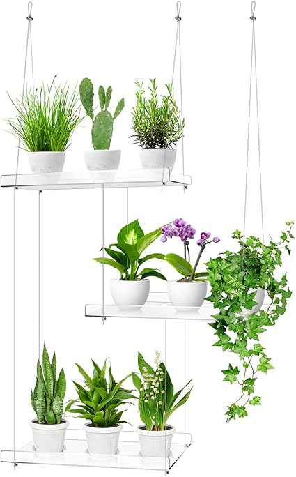 Amazon.com : Hanging Acrylic Window Plant Shelves, Indoor Windows Wall ...
