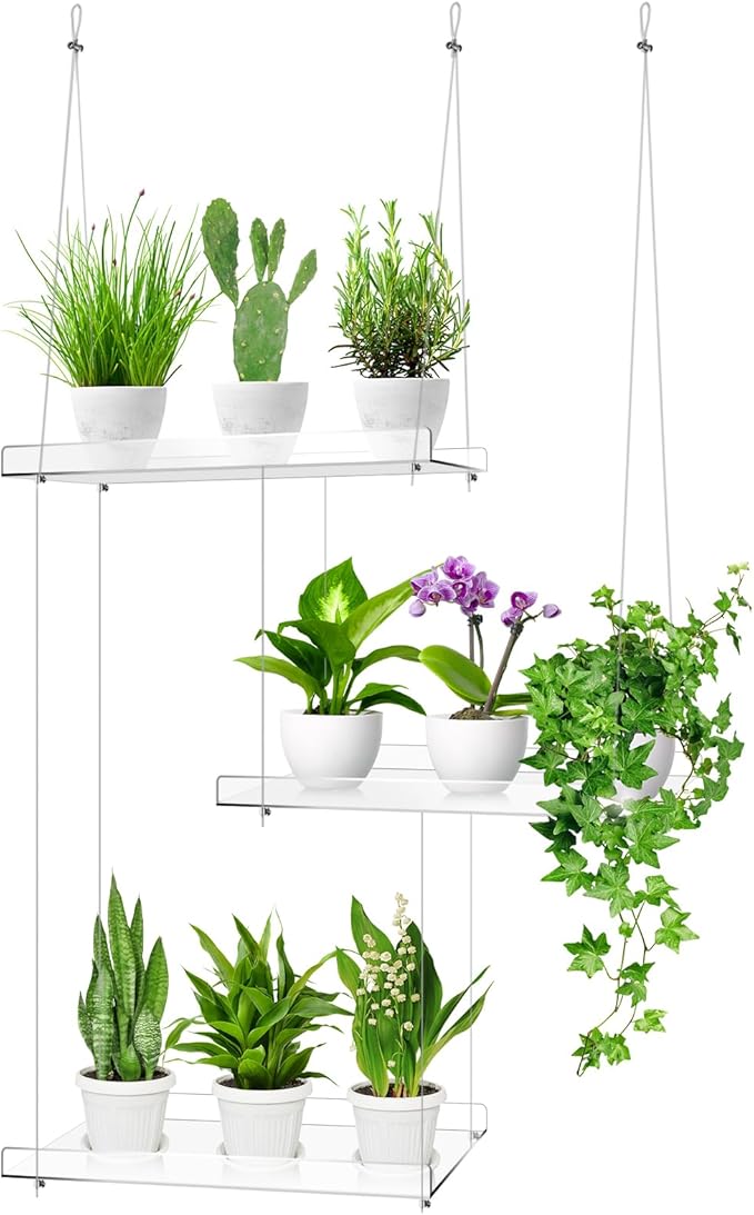 Amazon.com : Hanging Acrylic Window Plant Shelves, Indoor Windows Wall ...