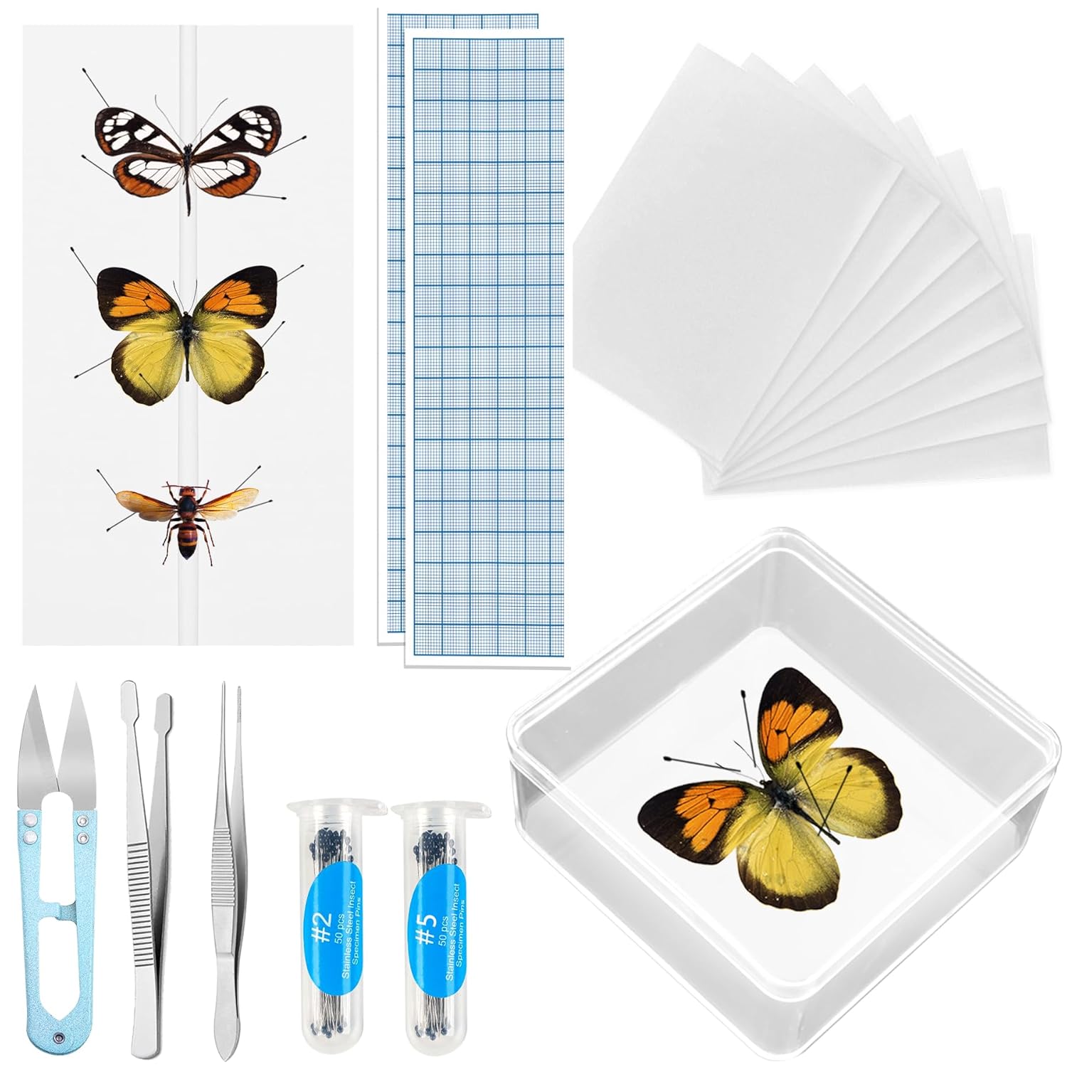 Insect Pinning Kit, Making Butterfly Specimen Tools for Science ...