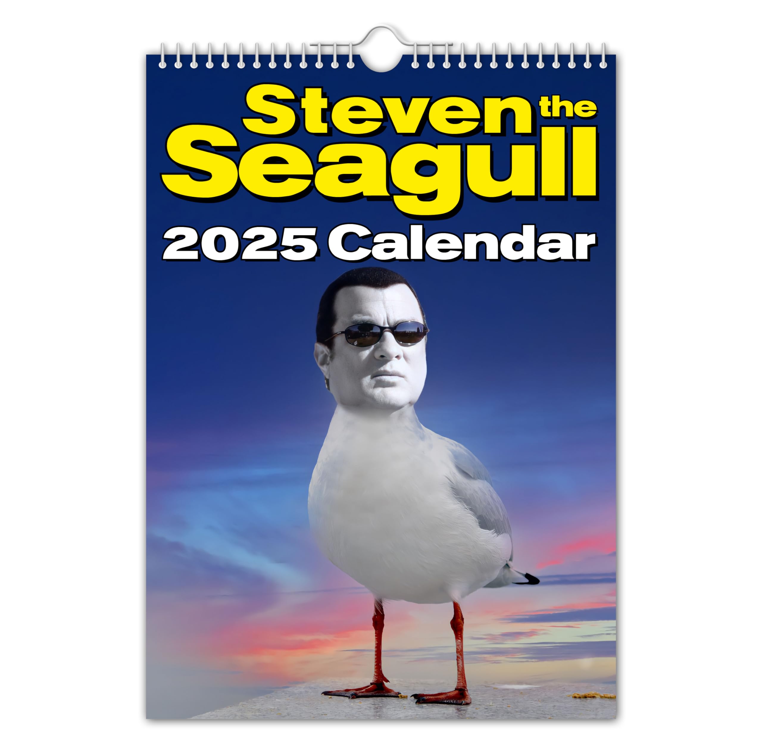 The Calendar King // Steven the Seagull – 2025 Wall Calendar (Full Colour, A3 Size) – BigaMart