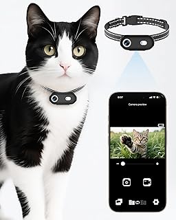 The Best Cat Collar Camera With Gps - Your Ultimate Buyer Guide ...