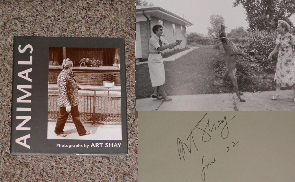 Animals: Shay, Art: 9780252027420: Amazon.com: Books