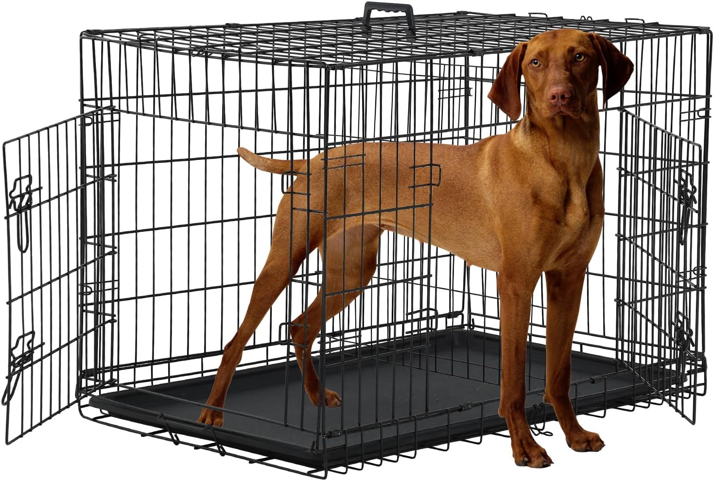 48 Inch Dog Crates for Large Dogs, Extra large Dog Australia | Ubuy