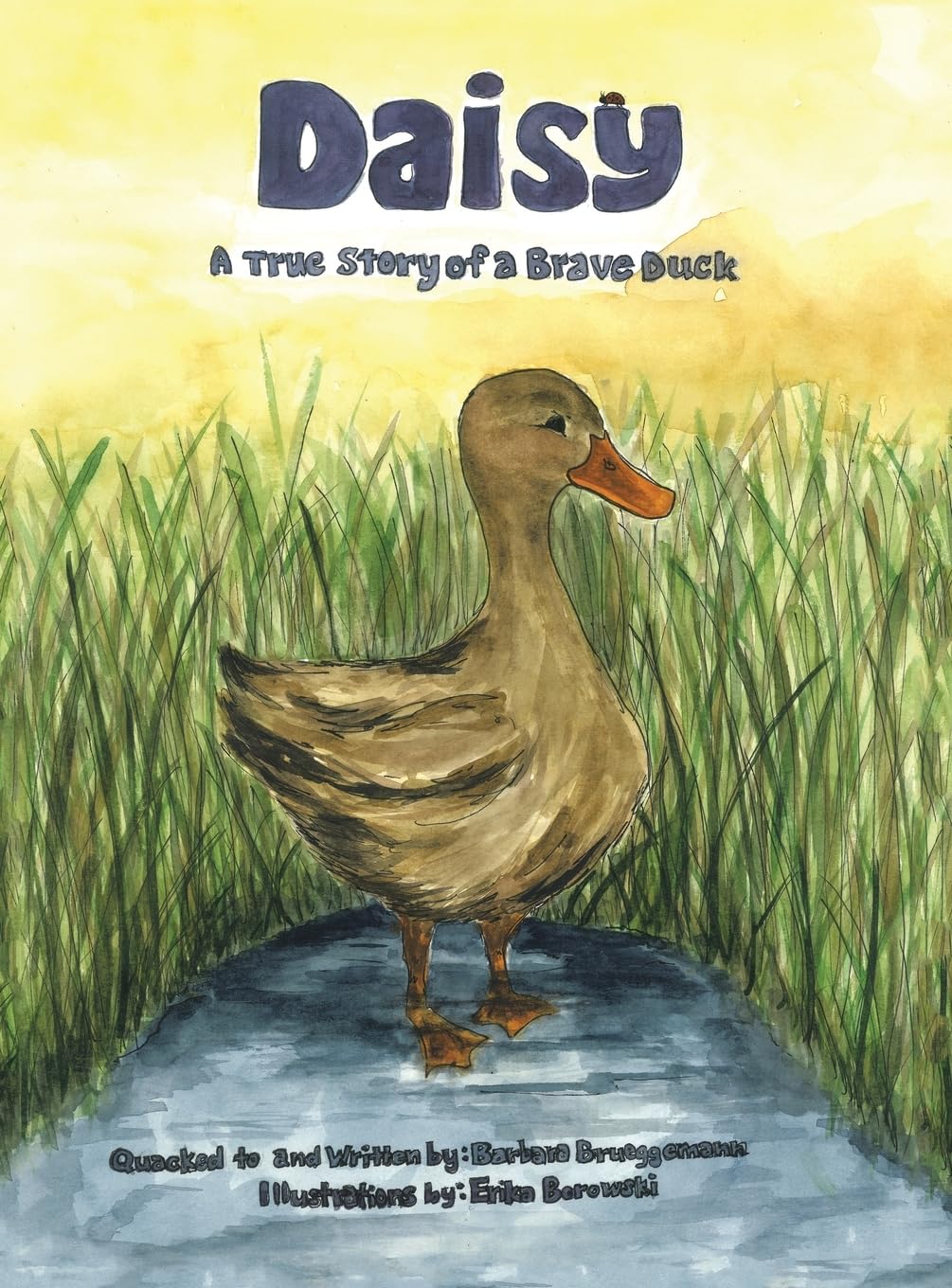 Daisy: A true story of a Brave Duck: Brueggemann, Barbara, Borowski ...