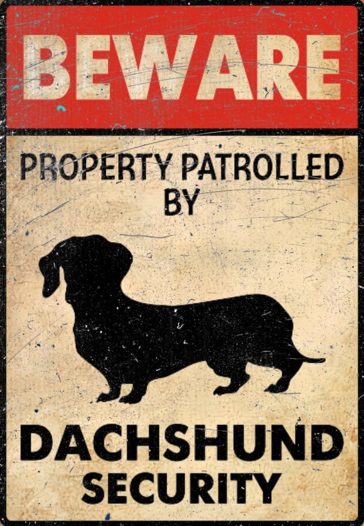 Amazon.com: Vintage Metal Tin Sign 8x12 inch BEWARE DACHSHUND Retro ...