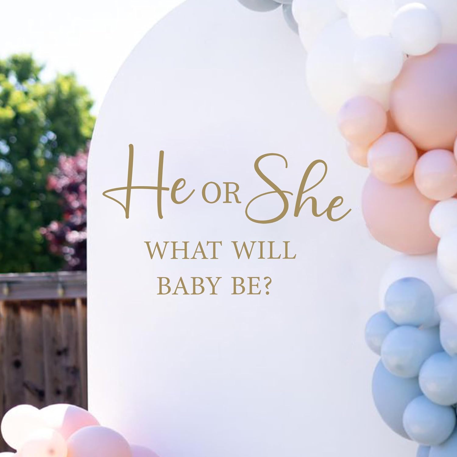 Amazon.com: ZAIBIANHAO HE or SHE What Will Baby Be Gender Reveal Party ...