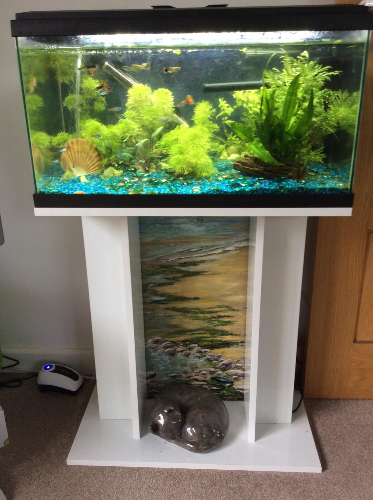 DTB TECH Ciano 60 Fish Tank Stand for 60 cm x 30 cm Aquarium Tank ...