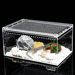Maxcheck Magnetic Acrylic Reptile Enclosure Tarantula Enclosure Hermit ...